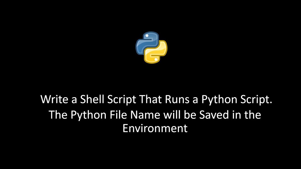 shell script that runs a python script the python file name will be saved in environment