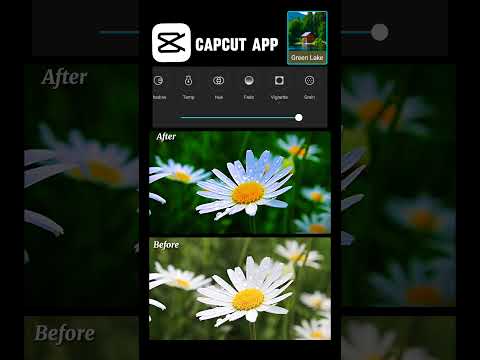 "How to Color Grading with CapCut | Easy Tutorial 2024