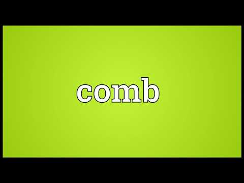 comb meaning in English