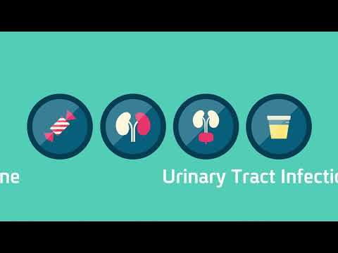 CHECKUP | Kit At Home Wellness Test For Dogs