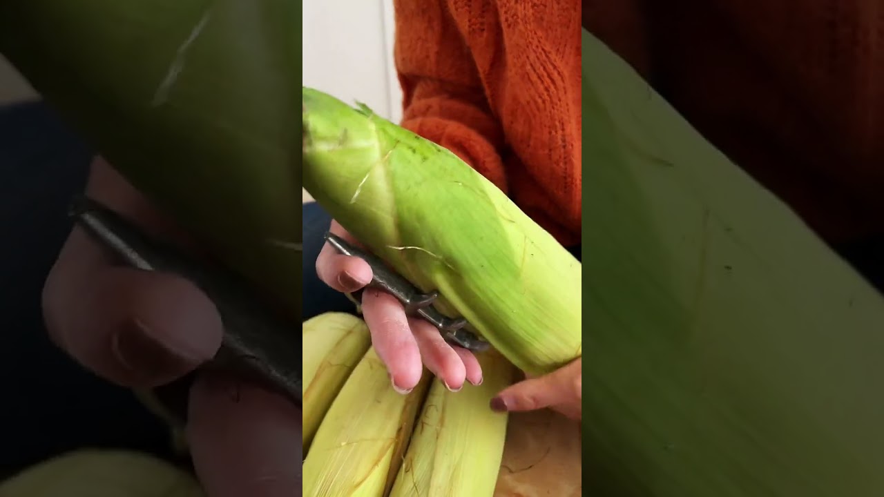 Rural Farmer #6184 #countrylife #farmingtraditions #farming #agriculture #rurallife