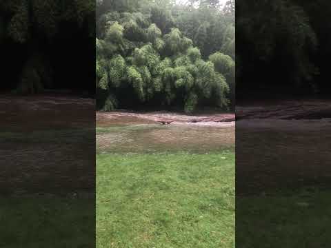 7-13-20, S Flooding at County Bridge 278, East Bradford Township, West Chester, Pennsylvania