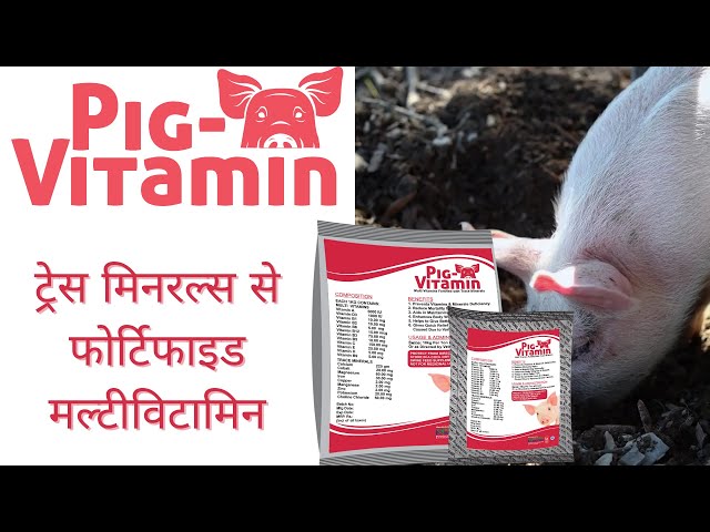 Pig growth supplements Pig Feed Supplements - Swine Minerals Mixture ...