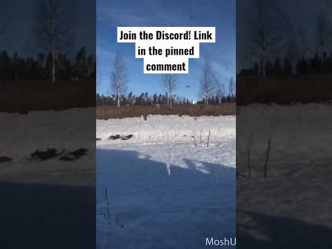 Join the Discord server! #fun #funny #meme #shortvideo #secret