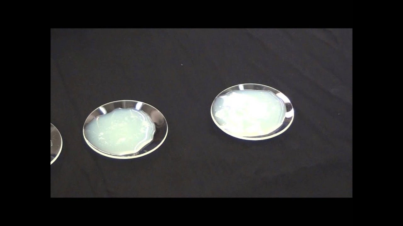 12.2 Denaturing a Protein