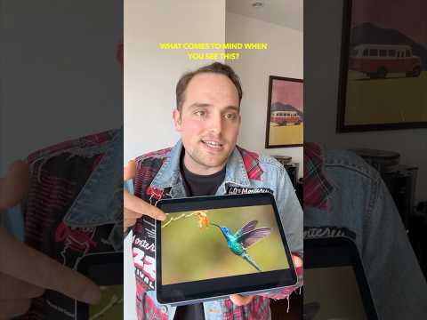 French Makes No Sense: “Bird-Fly”