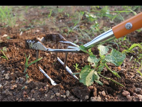 2 IN 1 CULTI WEEDER - Mahan Manual Heavy Duty 2 in 1 Hand Weeder/Garden ...
