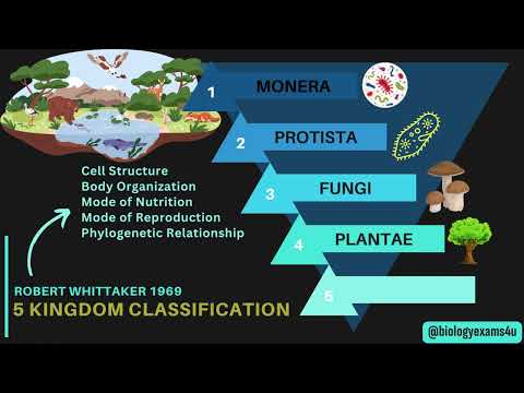 5 Kingdom Classification with Examples - Whittaker | An Overview | Biological Classification