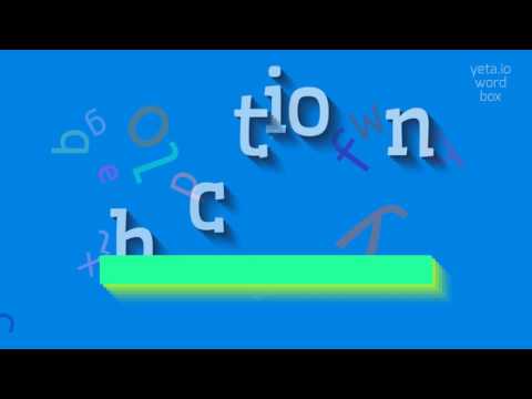 How to say "chiton"! (High Quality Voices)