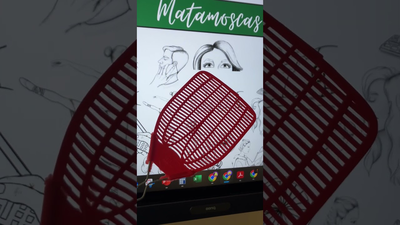 Spanish Verbs Matamoscas Game