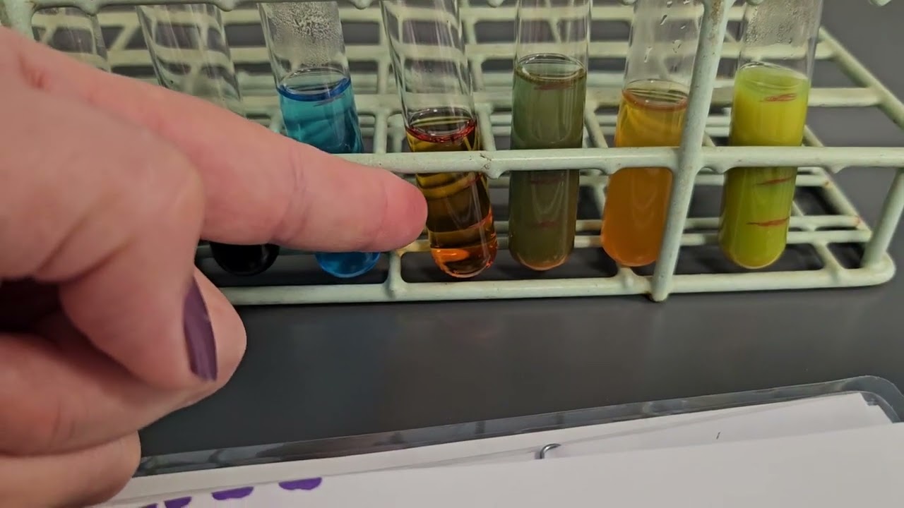Lab 5 - Procedure 5.5 (Starch digestion with Amylase)
