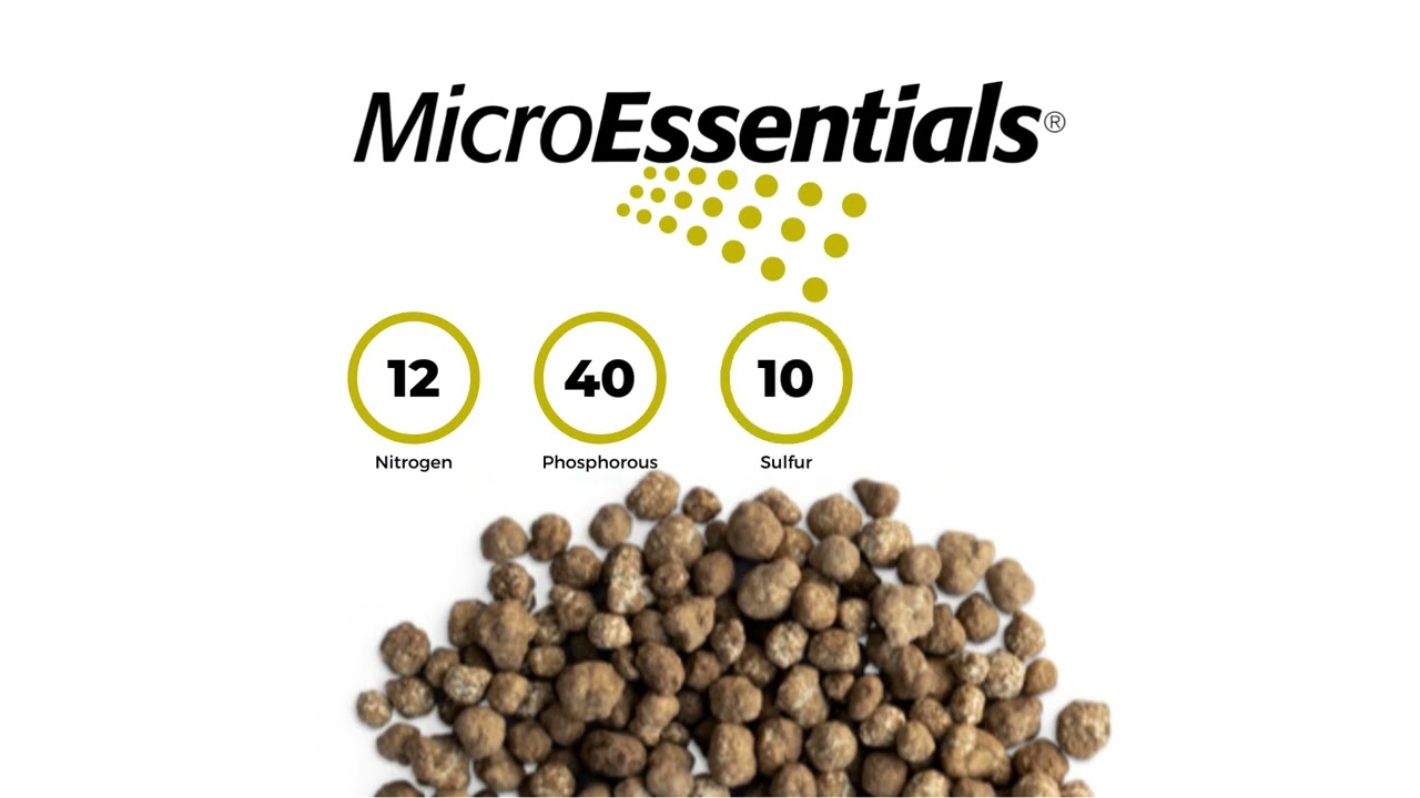 One Powerful Granule for Crop Nutrition (Nitrogen, Phosphorous, Sulfur and Zinc) | Ag Plus Coop