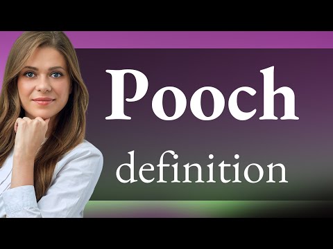 Pooch — meaning of POOCH