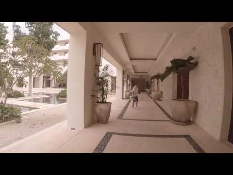 Narrated Secrets Akumal Walking Tour