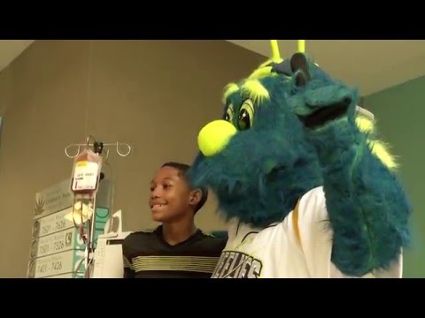 Fireflies Unveil Mascot