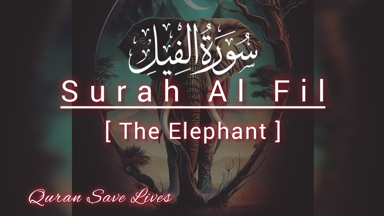 surah Al Fil The Elephant surah Al Feel full with Arabic Surah