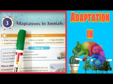 adaptation in animals class 4 in hindi