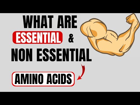 What are essential amino acids ? What are nonessential amino acids ?
