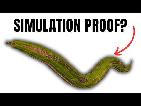 Is Our World a Simulation? Exploring OpenWorm and Simulation Theory