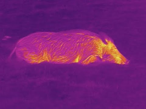 X-Vision Optics Thermal Monocular Views