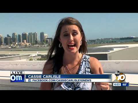 Hundreds of migrants flown to San Diego for processing