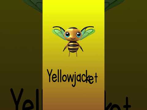 Words that start with Y - Learning Letters Animated! #education #learning #reading #alphabet #kids