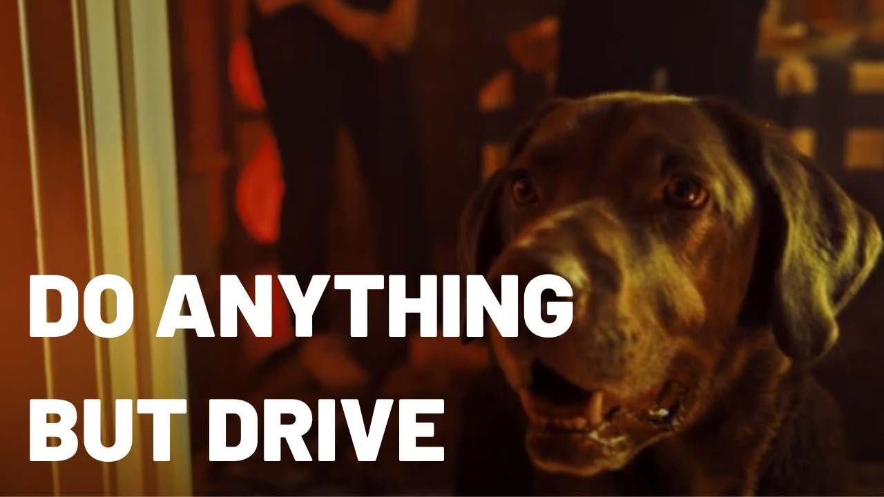 CAA released ad campaign on cannabis edibles and impaired driving ... CAA released ad campaign on cannabis edibles and impaired driving ...