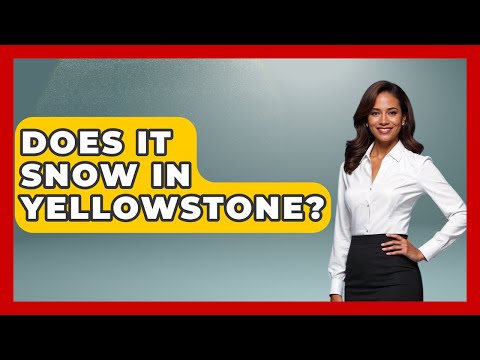 Does It Snow In Yellowstone? - United States Revealed