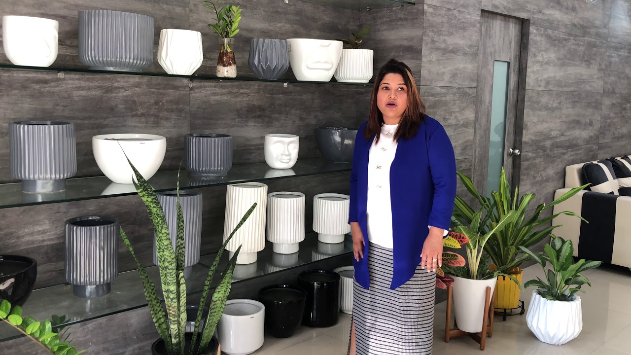Blue Leaf Planters