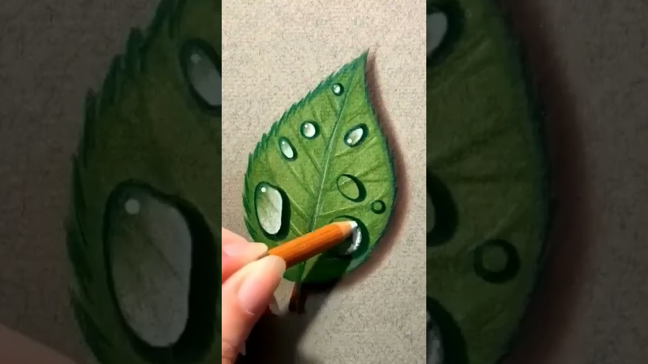 Colored pencils drawing water drops on a leaf/Easy drawing #Shorts