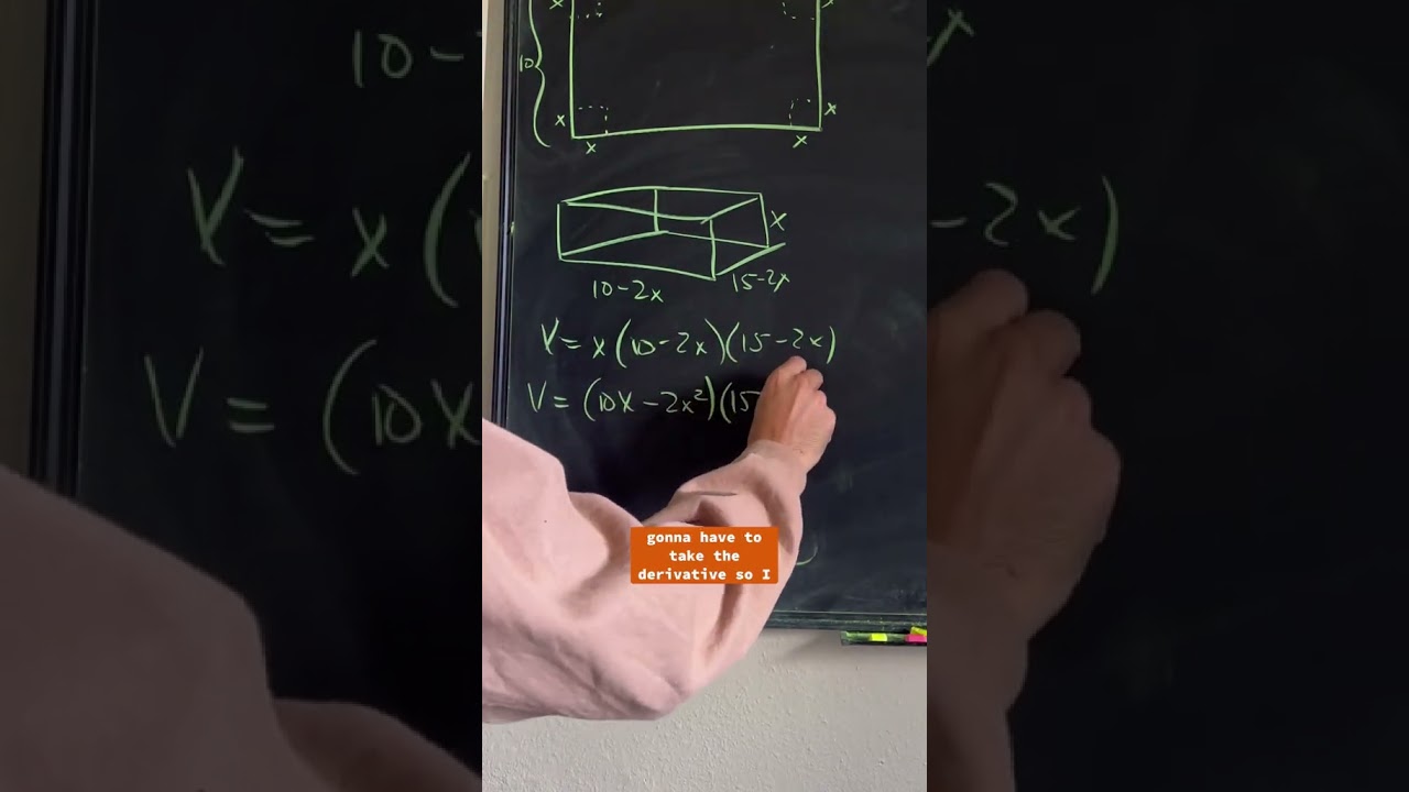 Optimization Problems: Cat Edition #shorts