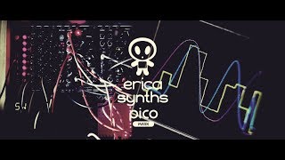 Erica Synths Pico Mask - What To Know & Where To Buy | Equipboard