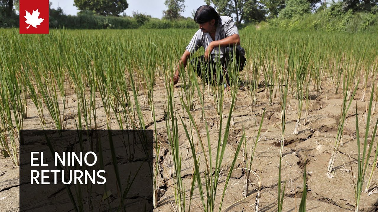 How El Nino causes a global temperature surge