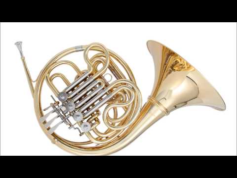 Instrumentos de banda. – Elblogdemusica