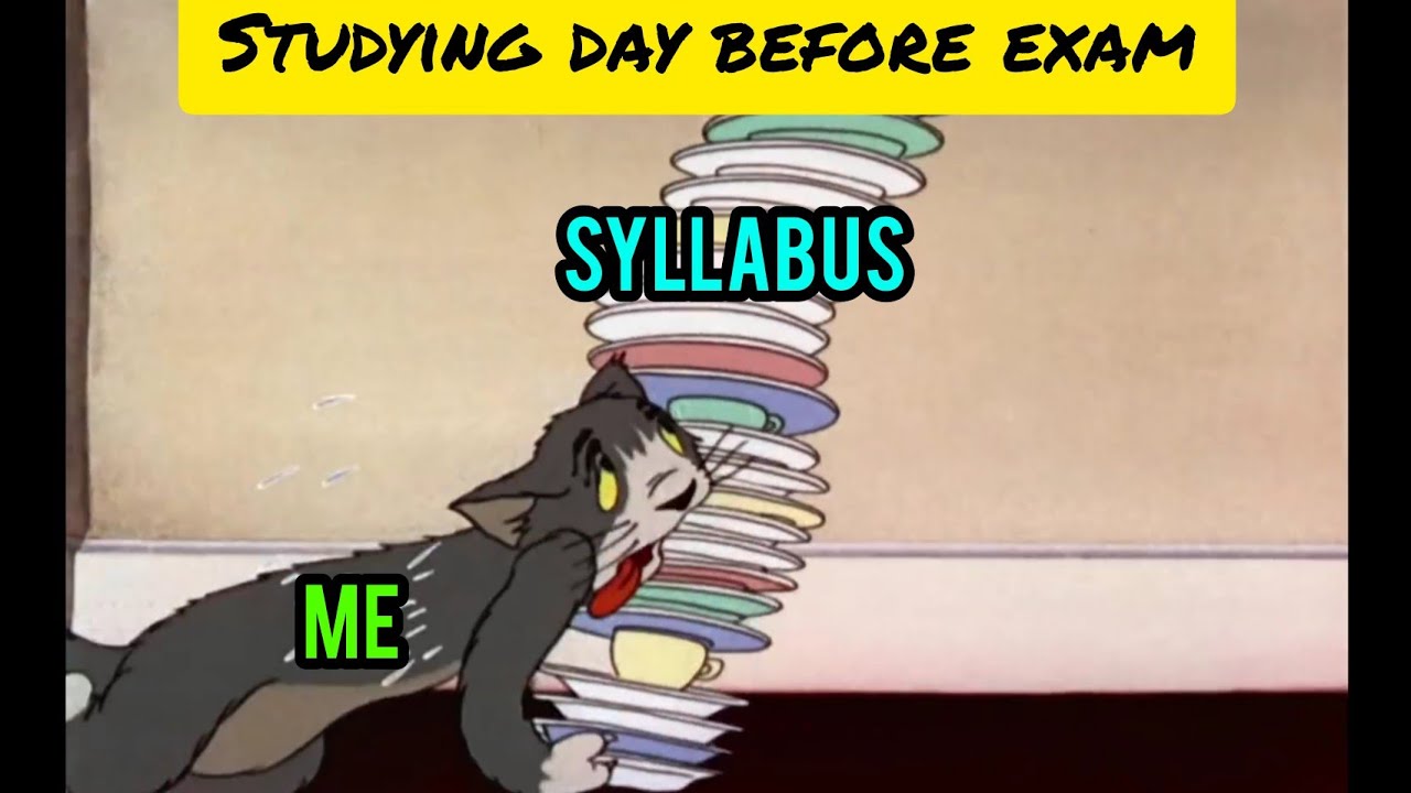 Studying Day Before Exam Be Like Meme
