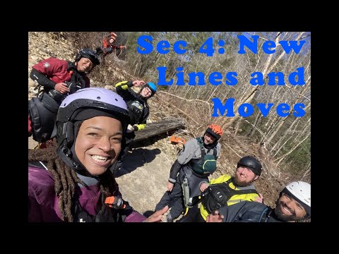 Section 4: New Lines and Moves