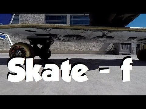 Skate Fish