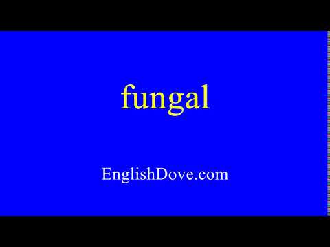 How to pronounce fungal in American English.