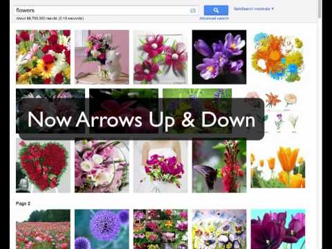 Google Images Search Arrow UP & Down Bug
