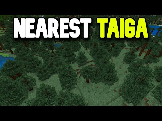 Where to find ferns in Minecraft