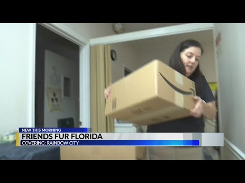 Rainbow City Pet Clinic collecting supplies for Hurricane Michael victims