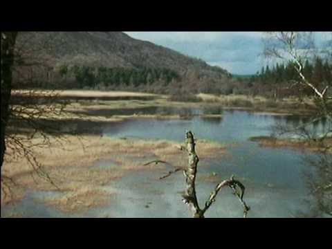 Catching The Impossible trailer 7 - Close to Nature - fiskevideoer fra ...