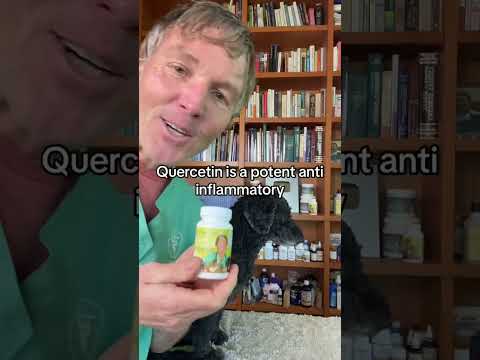 Dog with chronic itching, skin infections and smell? Try this natural antihistamine