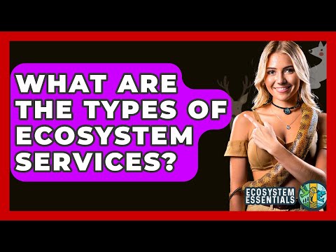 What Are The Types Of Ecosystem Services? - Ecosystem Essentials