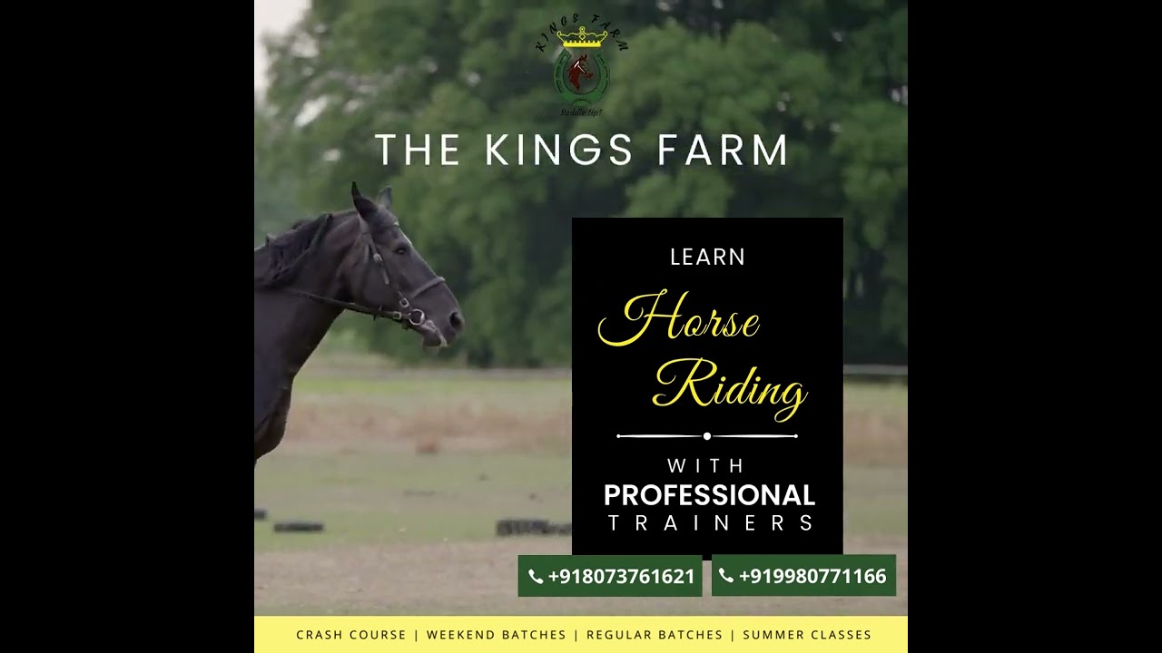 Horse Riding Classes Bangalore Pune India‎@Kings Farm Equestrian Club 