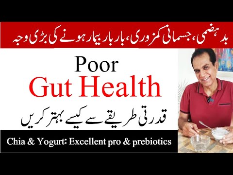 Improve gut health by yogurt and chia seeds | Microbiome |Best sources of probiotics & prebiotics