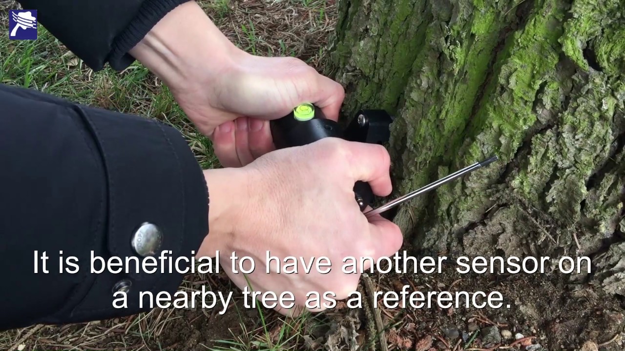 How to mount PiCUS TMS Tree Motion Sensors