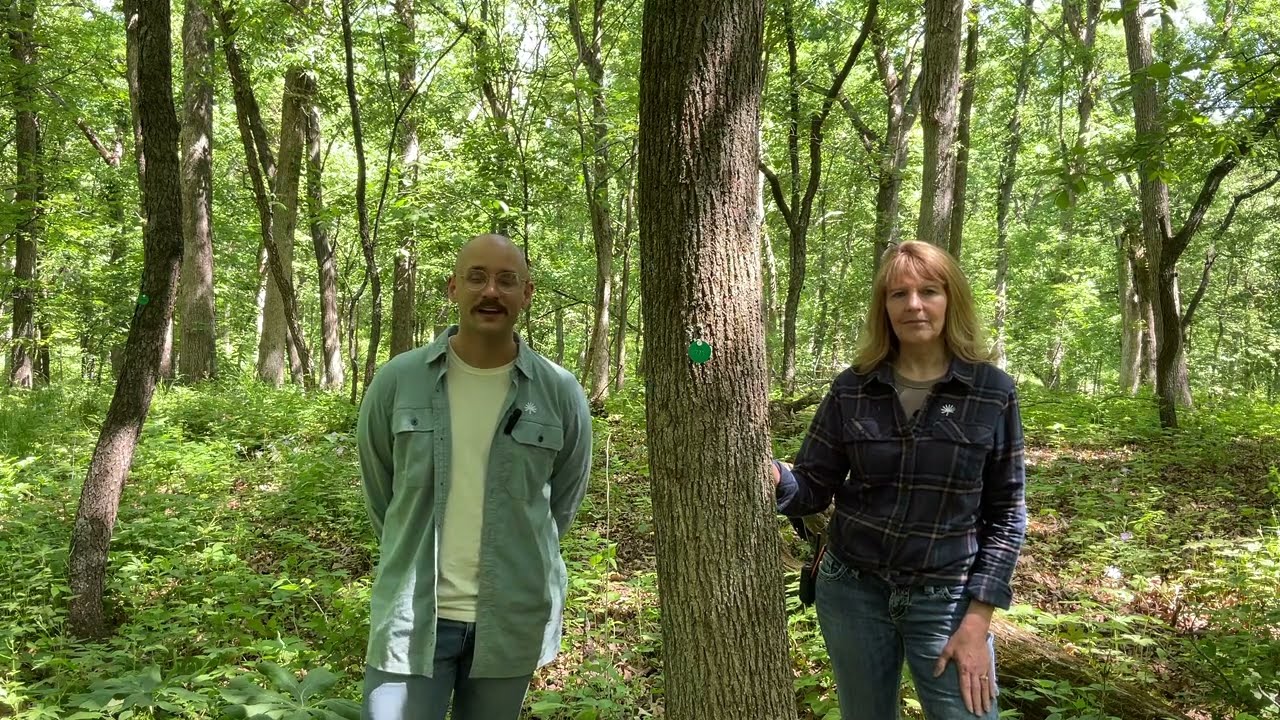 How It Works: Finding Your Memorial Tree