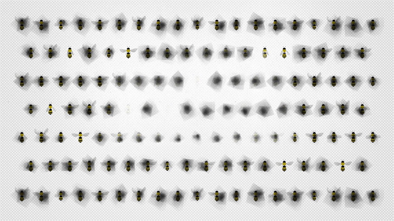 El caso de las abejas desaparecidas - Emma Bryce - Mostrar