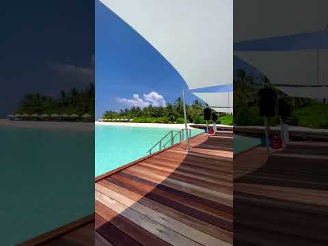 best time to visit Maldives 👀